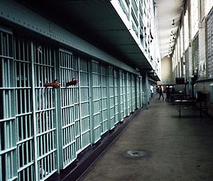 E l v a: "Tσι [Αμερικανικής] φυλακής τα σίδερα....