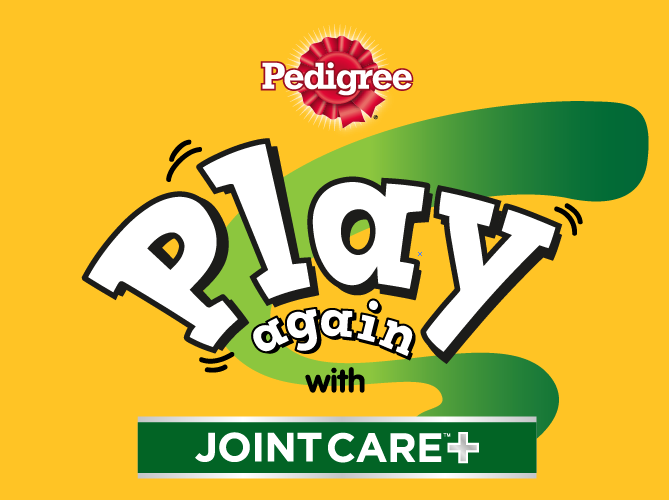 George The Lad: Pedigree Joint Care + Tess Reporting- week One