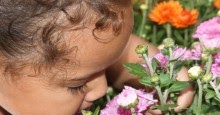 Every Day Is Special: April 28 - National Sense of Smell Day