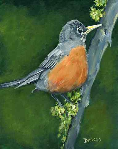 Paintings and Ceramic Sculptures by Dottie Dracos: Robin Bird in Oregon ...