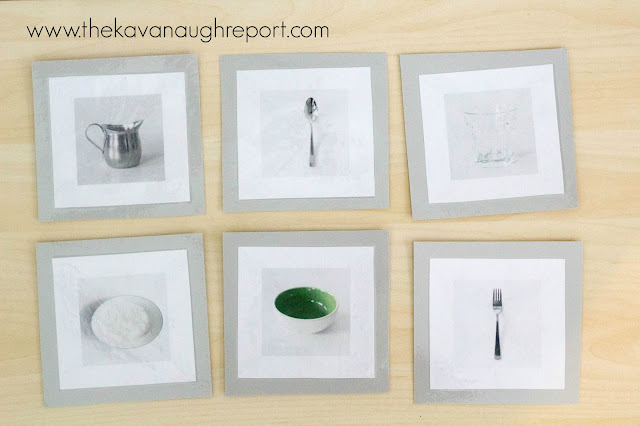 Montessori Toddler Classification Cards with Printable