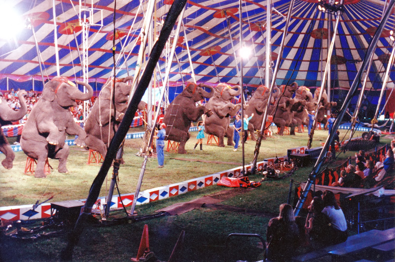 Buckles Blog: Beatty-Cole #12