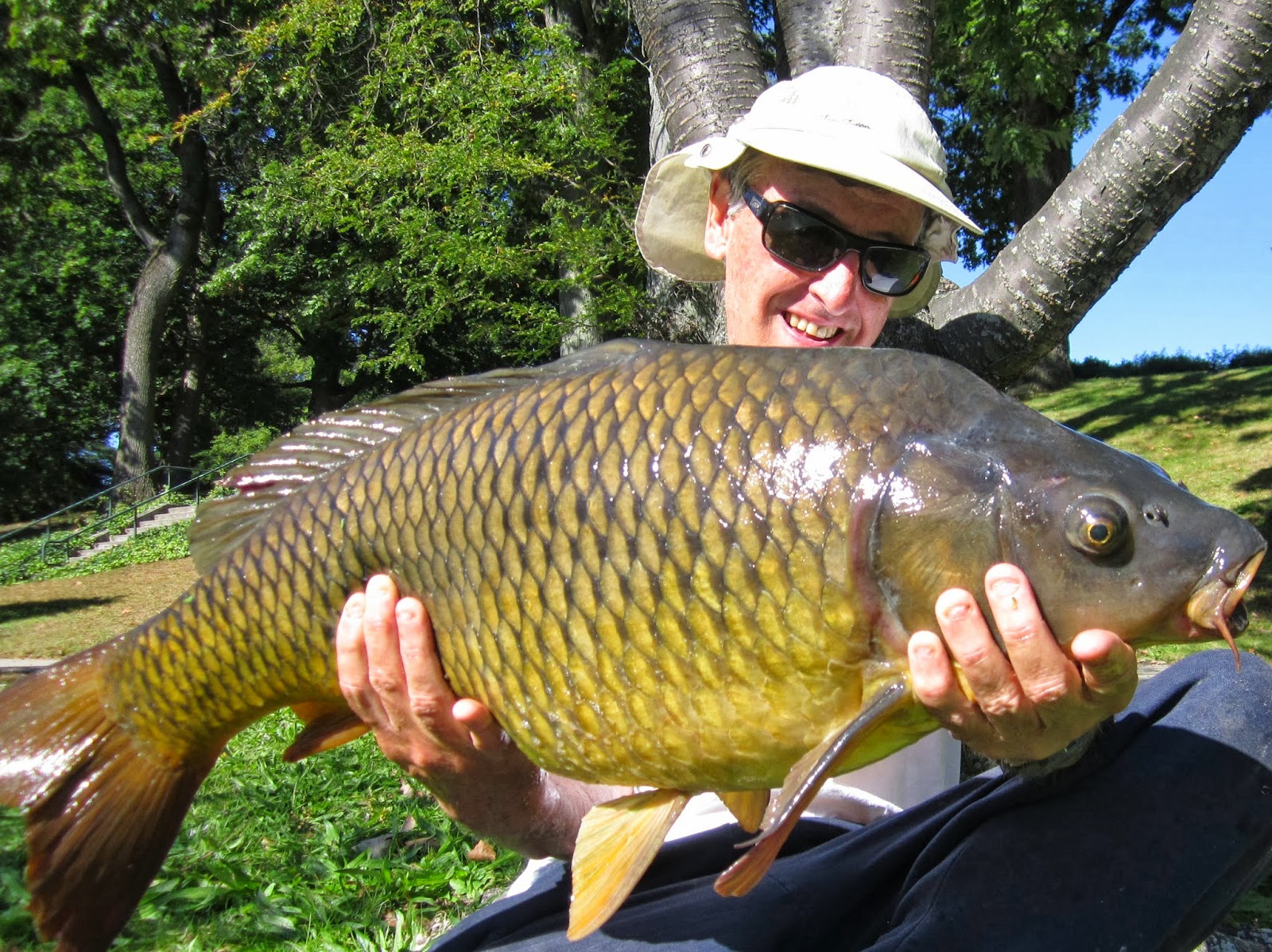 Rhode Island Carp Fishing: Big Carp in Small Spots