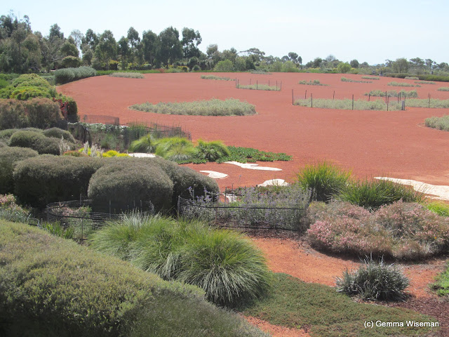 Art of Trees and Plants: red sand garden...