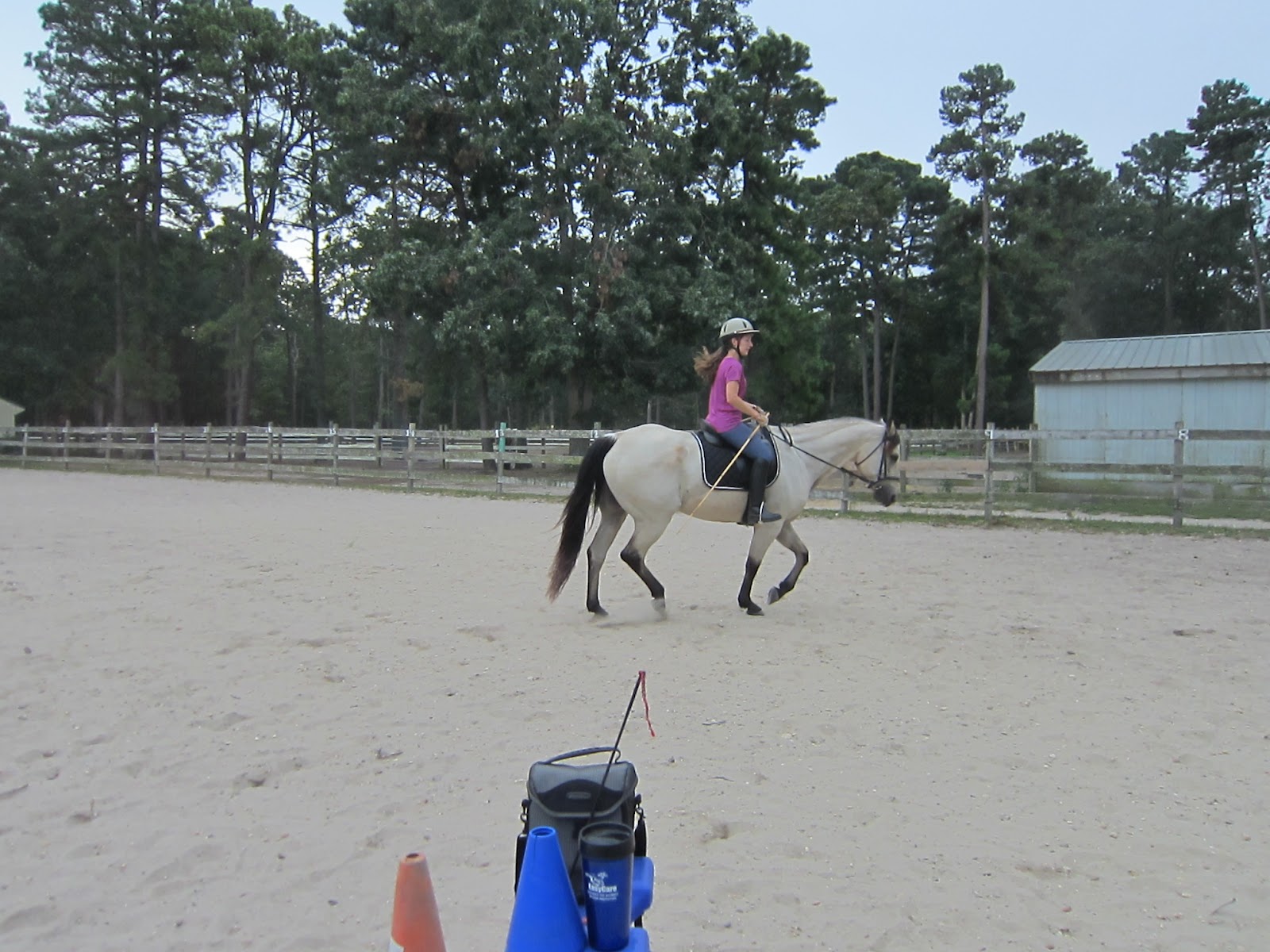 Memoirs of a Horse Girl: Riding Reflection: Using the Inside Rein