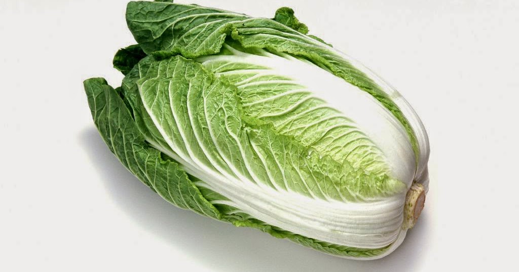 Como plantar acelga Cultivar Plantas Como Plantar