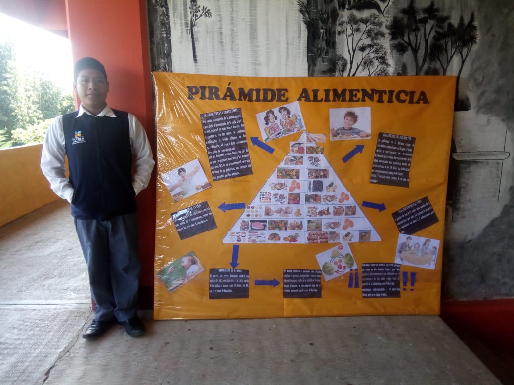 jose : piramide alimenticia