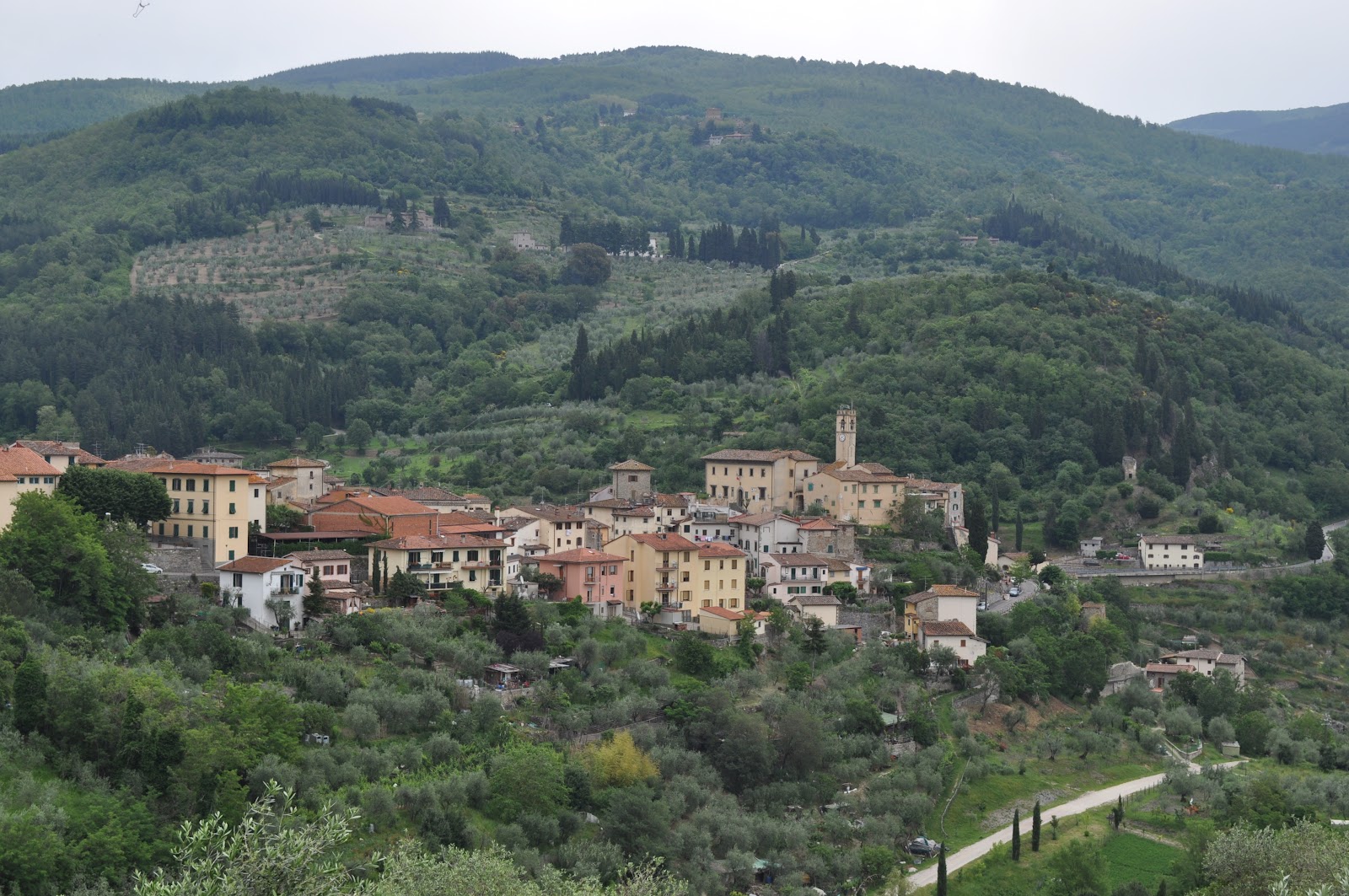 in viaggio nella natura toscana: Pelago contro la pena di morte
