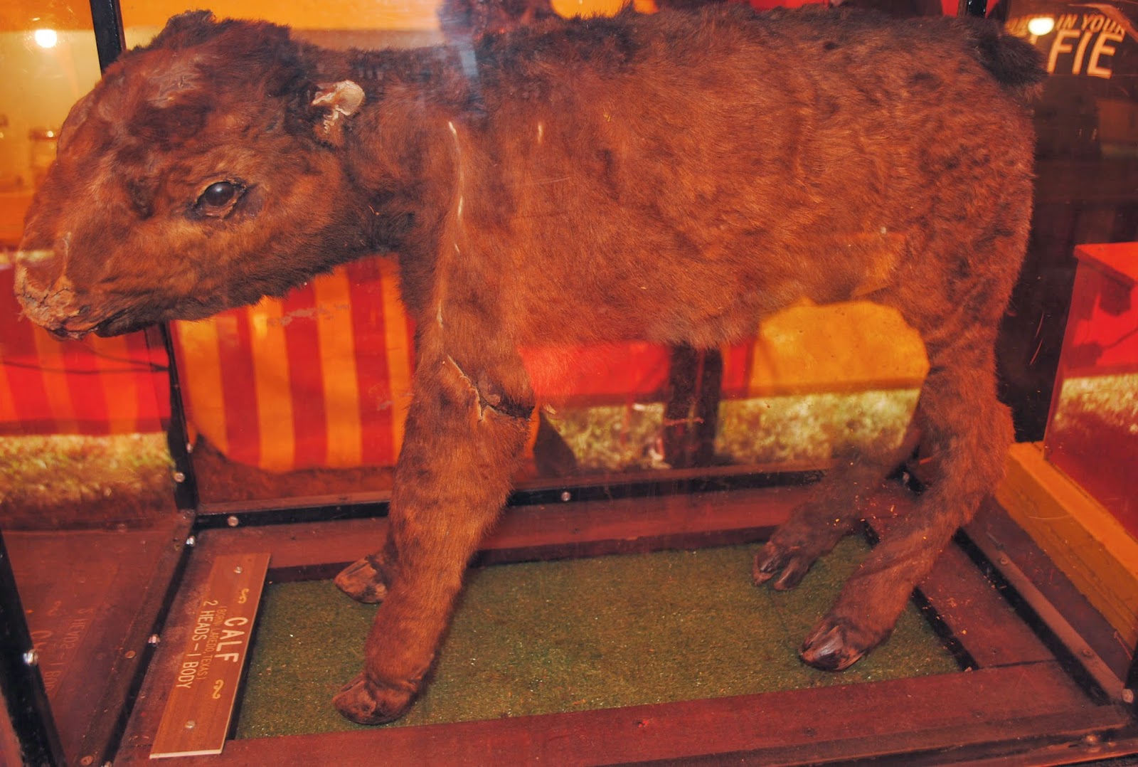 The Carpetbagger: October 2014