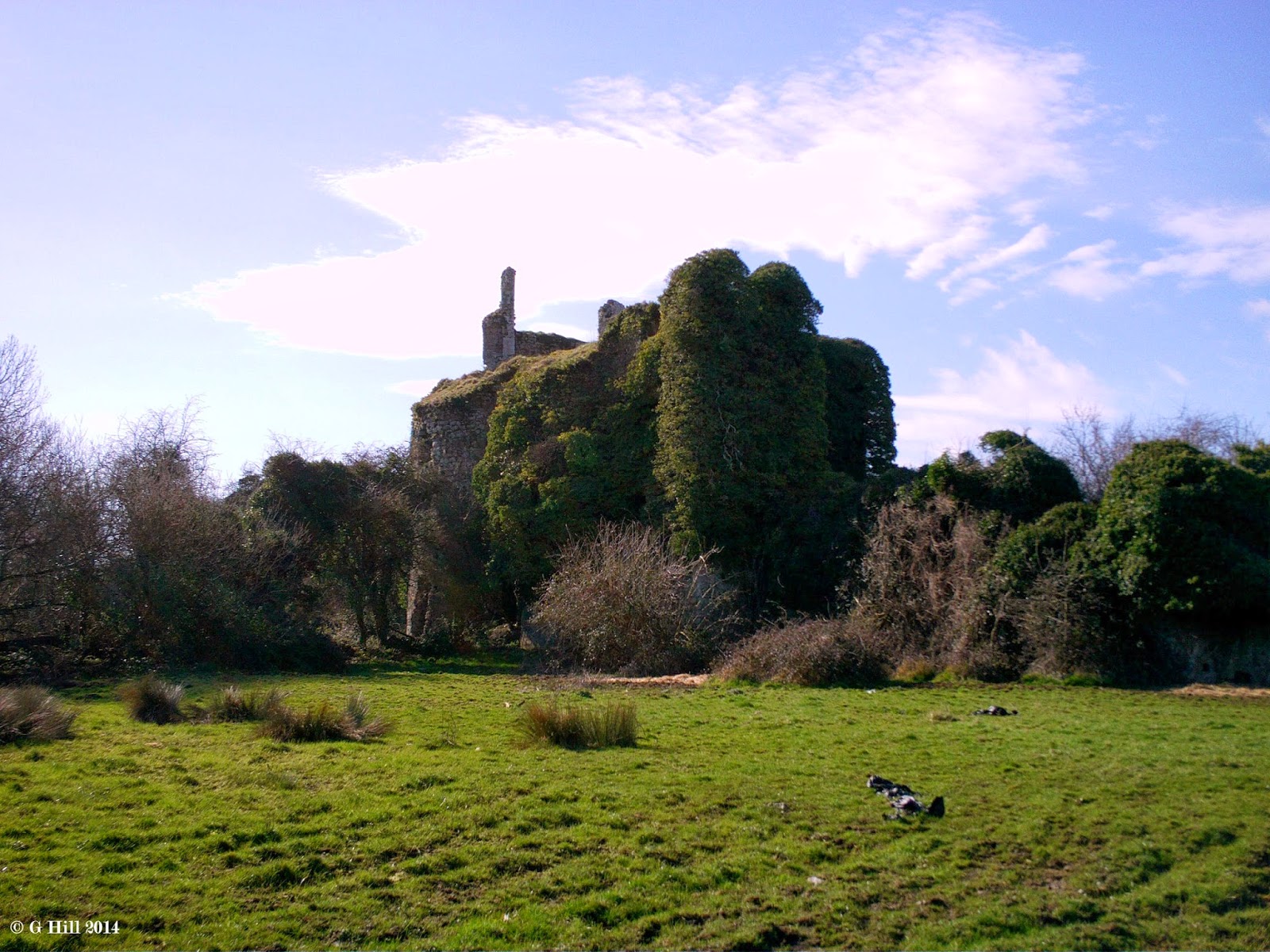 Ireland In Ruins: Lea Castle Co. Laois