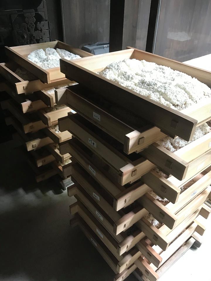 [24-26 Sep 2019] 3 Day Fermentation workshop to learn how to make ...