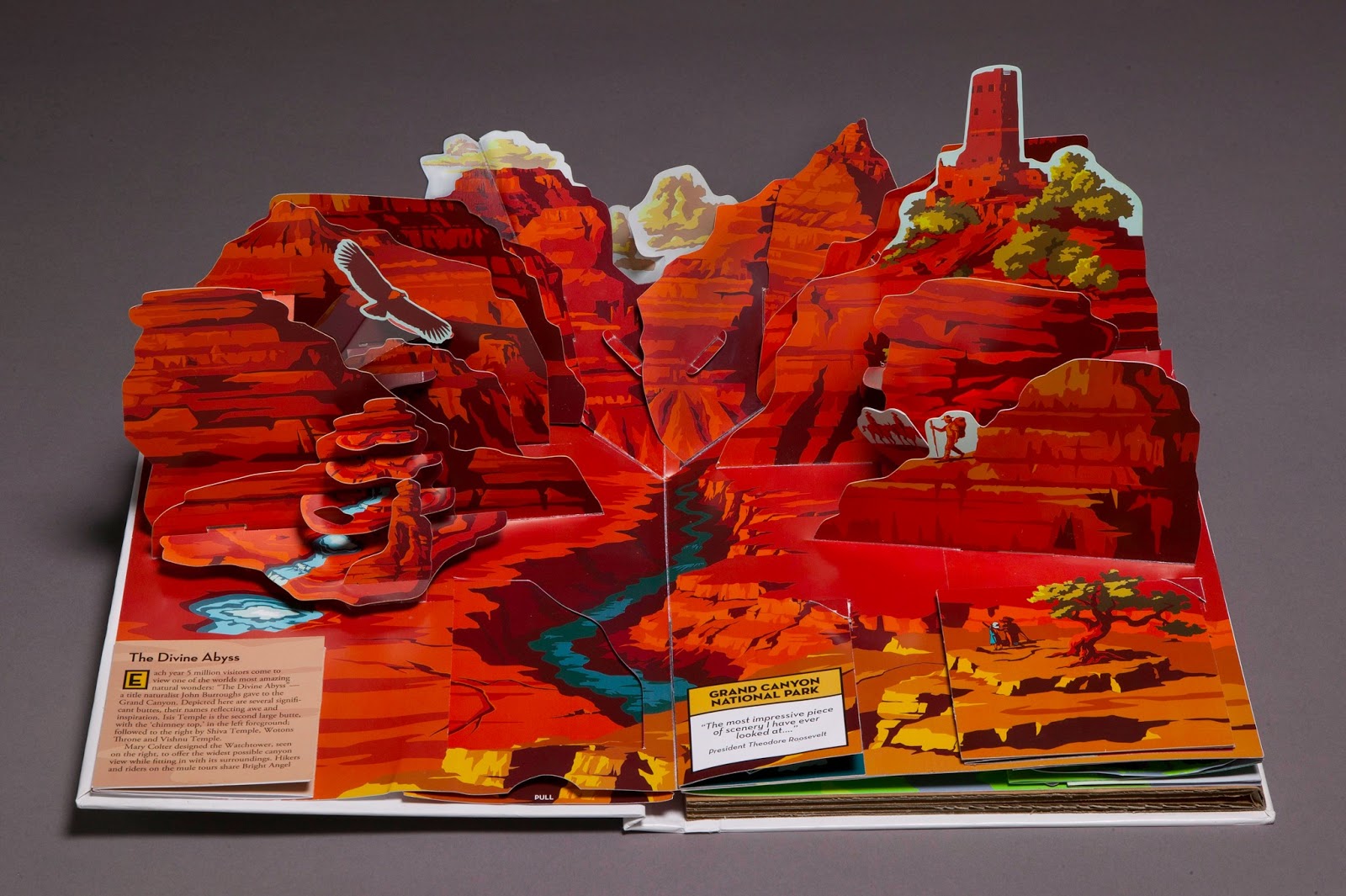 You've GOTTA read this!: America's National Parks: A Pop-Up Book