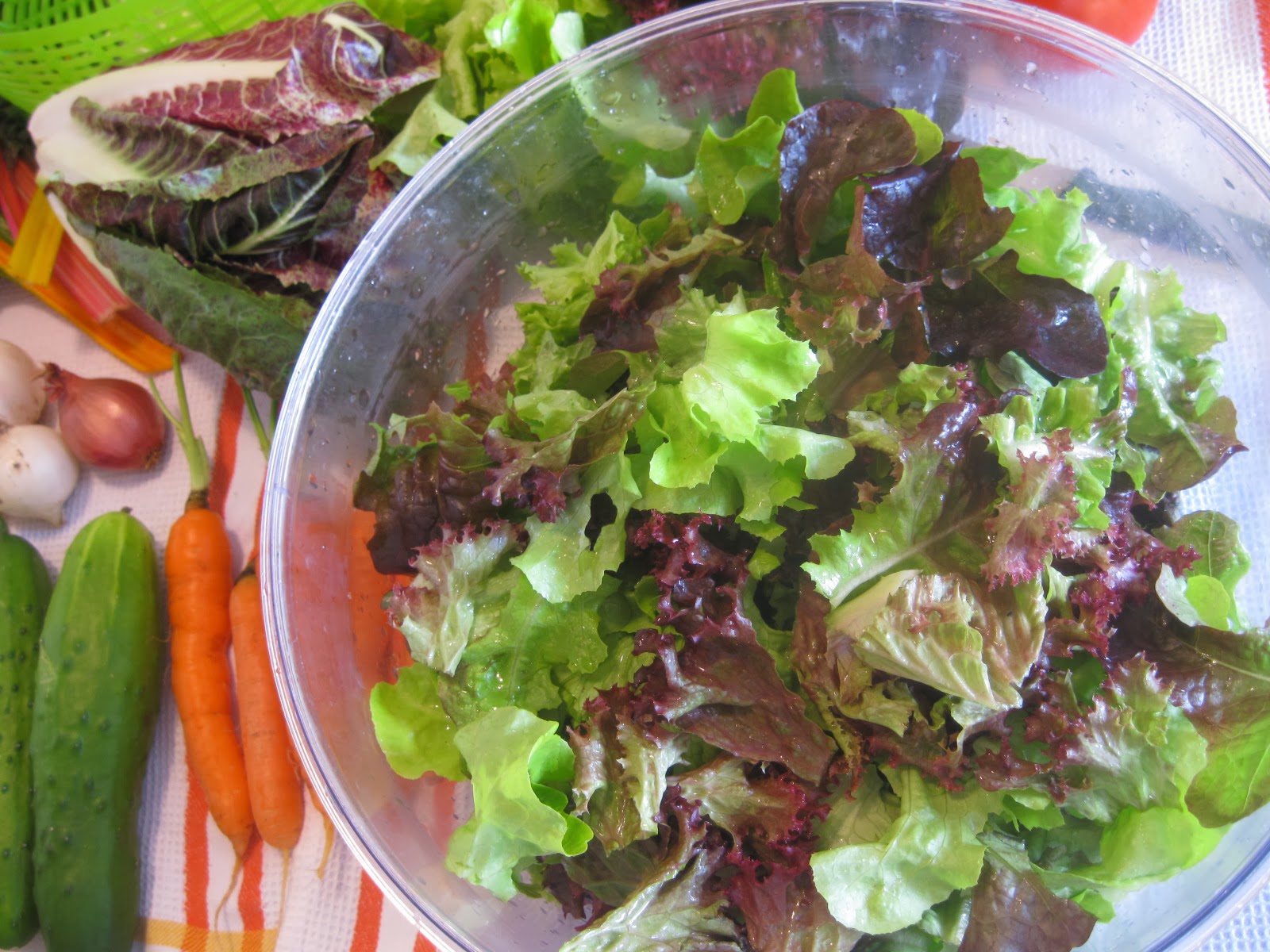 Puperta in cucina: Insalata verde mista: alleata delle diete.