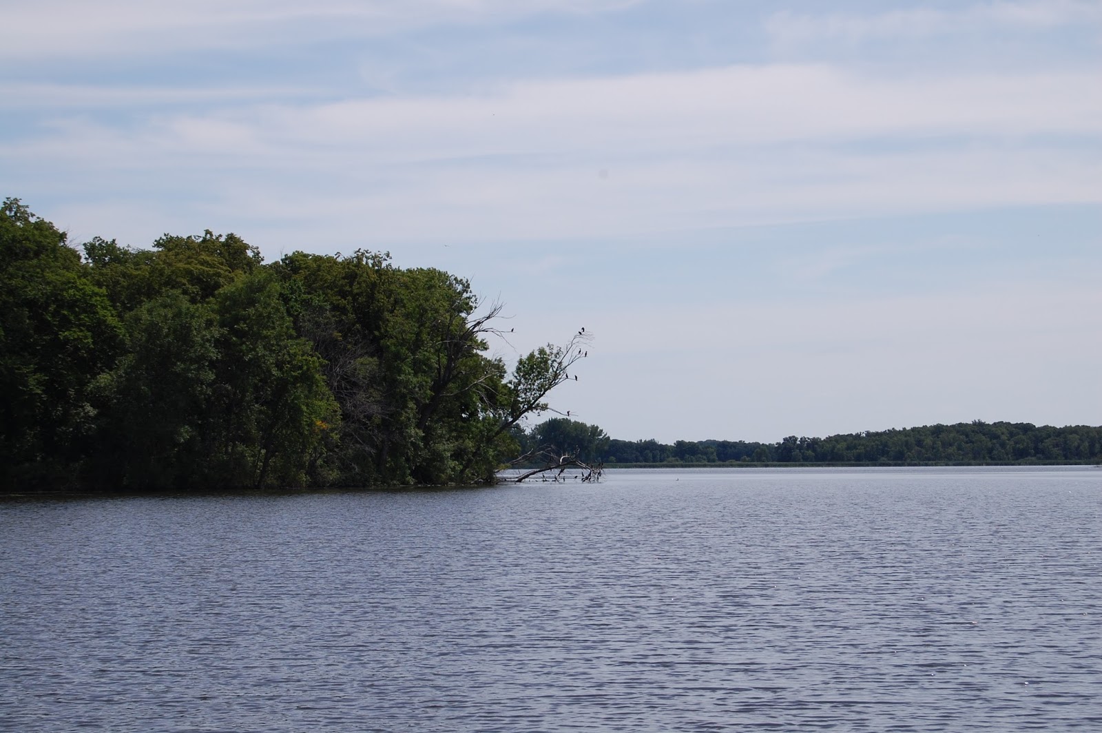 Shields Lake, Rice County, MN