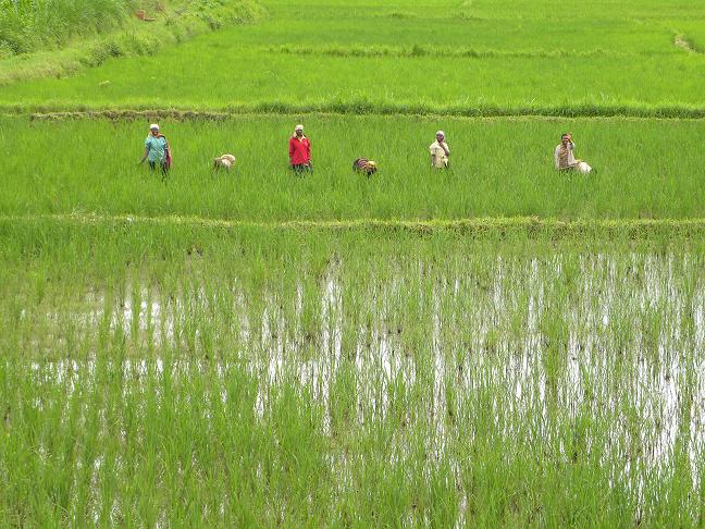 Inglis in Africa: Now, that's Africa!