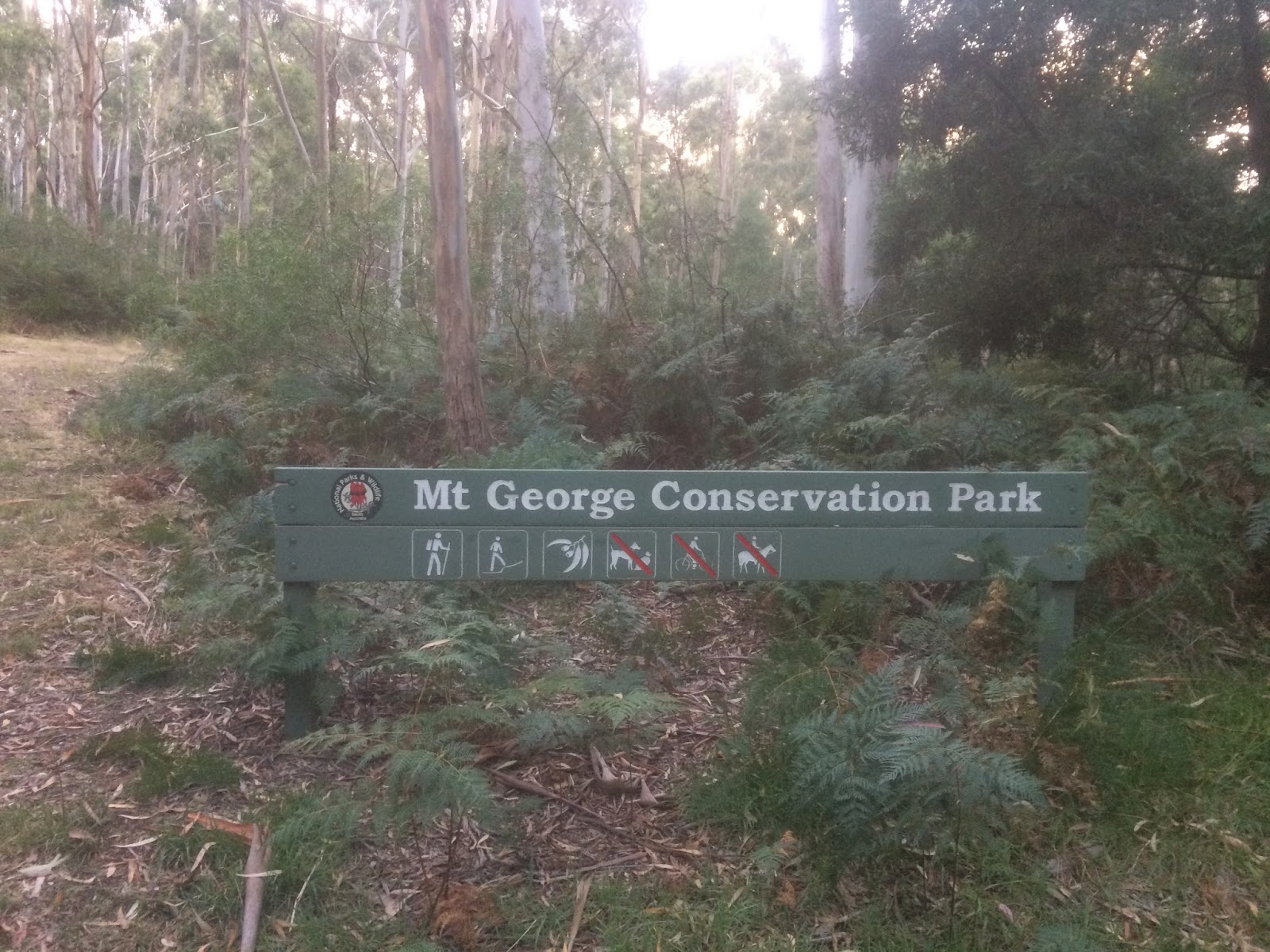 Mountains of Adelaide