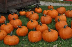 Help by Lady Feri: How to make Pumpkin Butter