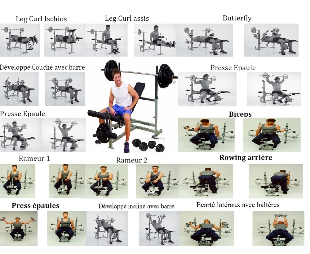 programme GOLD GYM CLUB - Gold Gym Club