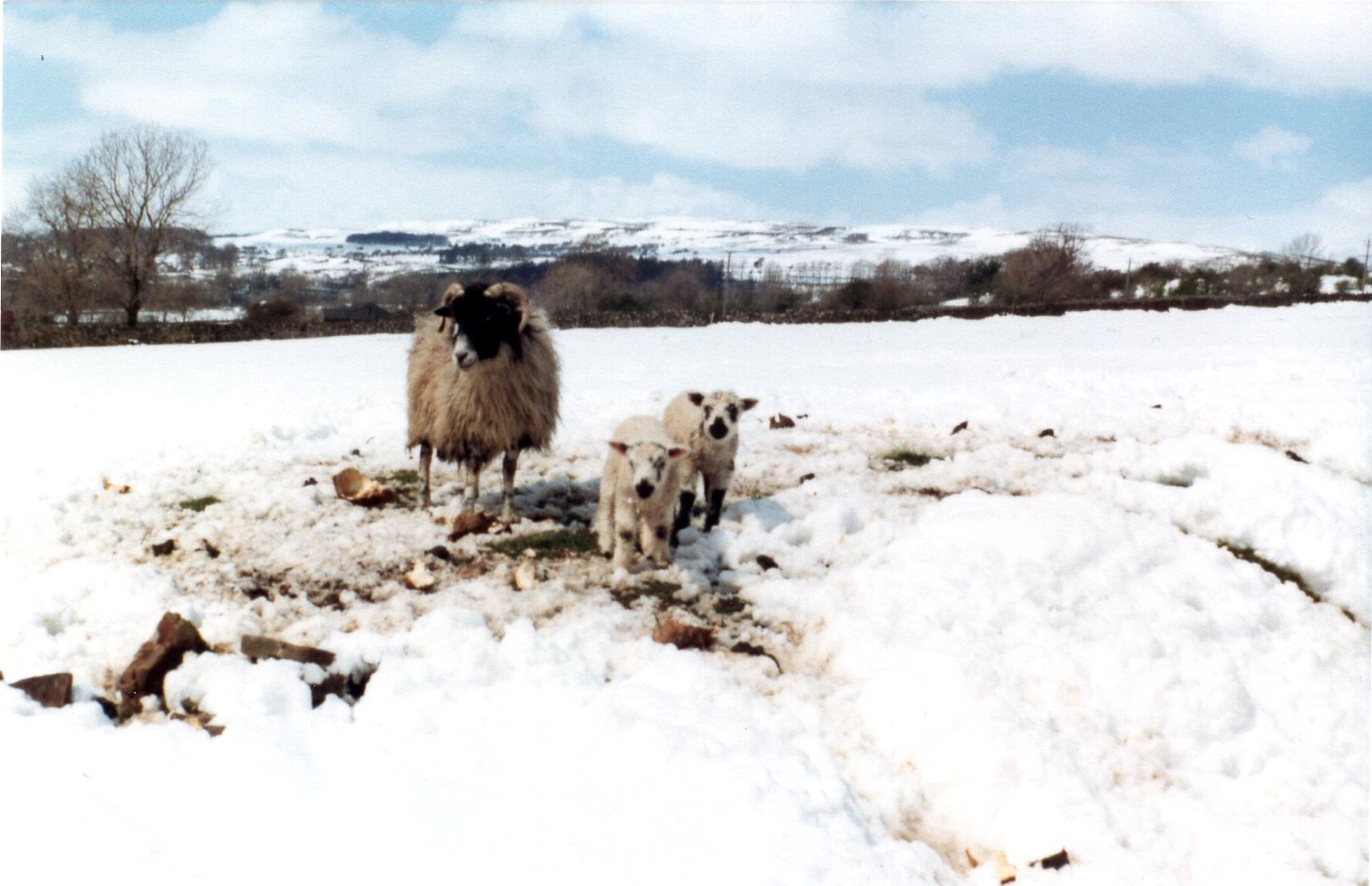 Liberal England: Snow in Wensleydale, 1981
