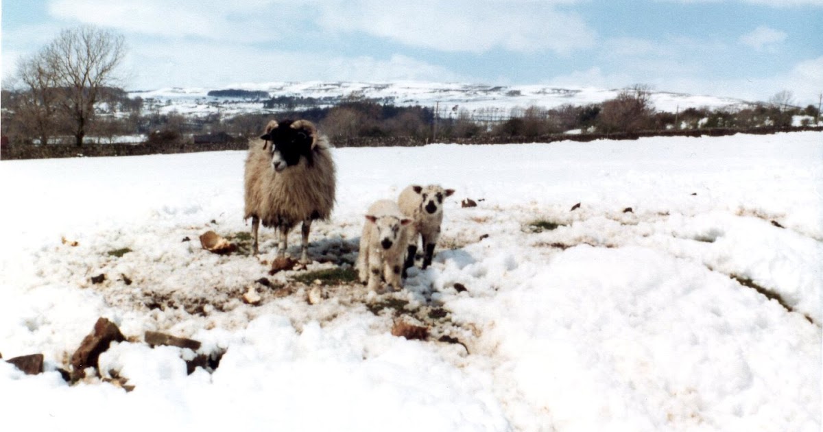 Liberal England: Snow in Wensleydale, 1981