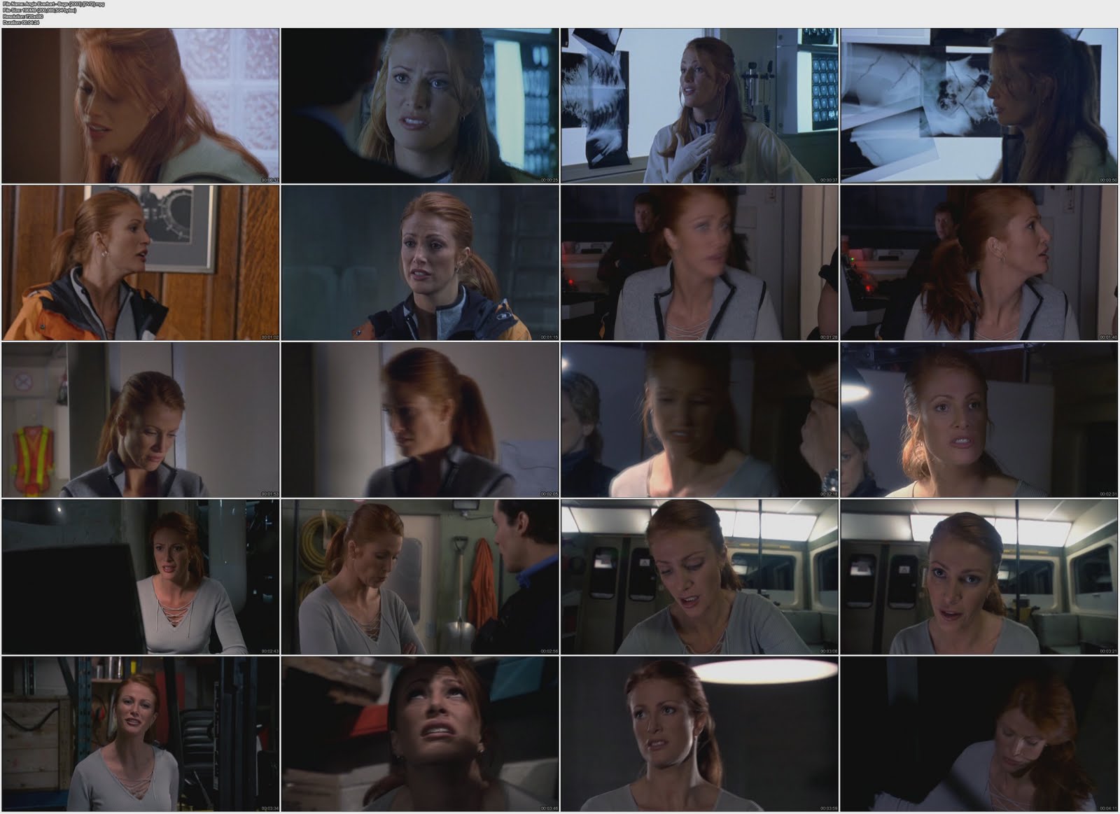 Redhead Haven: Angie Everhart - Bugs (2003) [DVD]