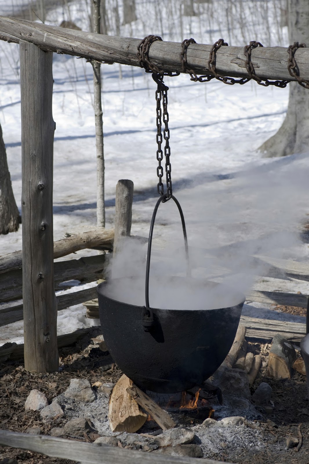 A Brief History of Maple Sugaring | Paris Farmers Union