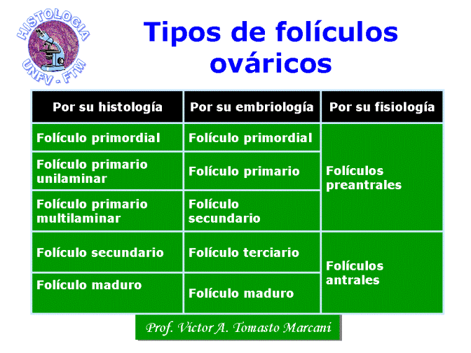 Portafolio De Biologia