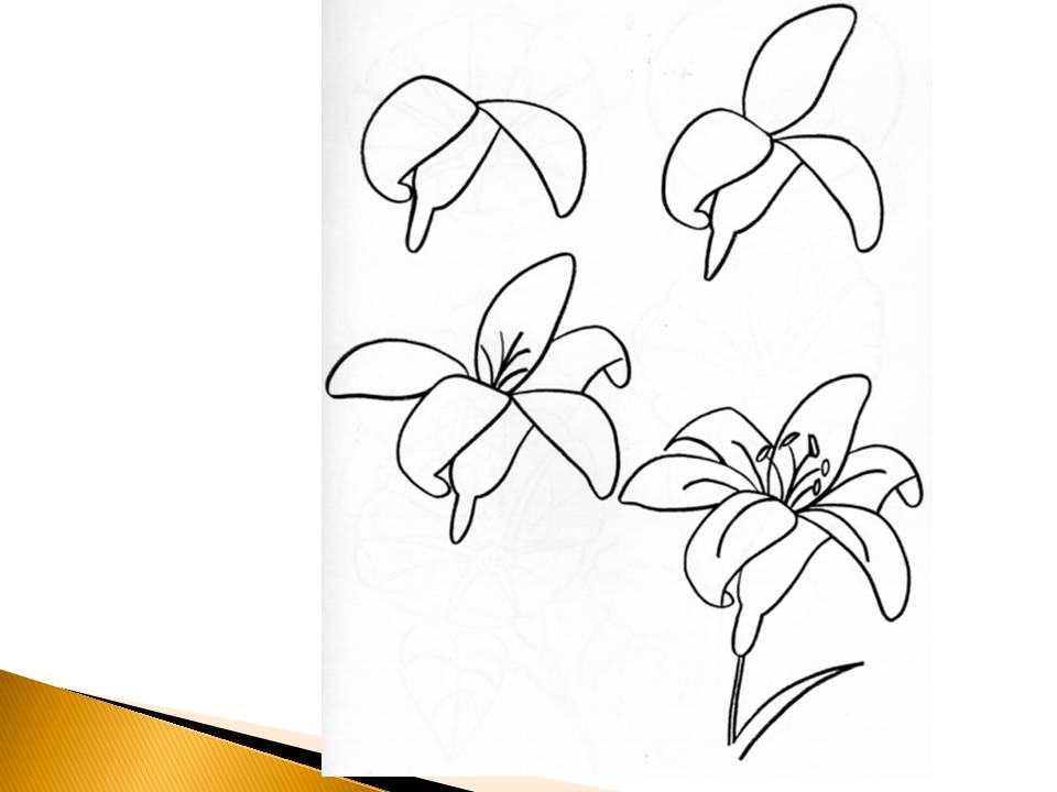 Como dibujar una flor - Imagui