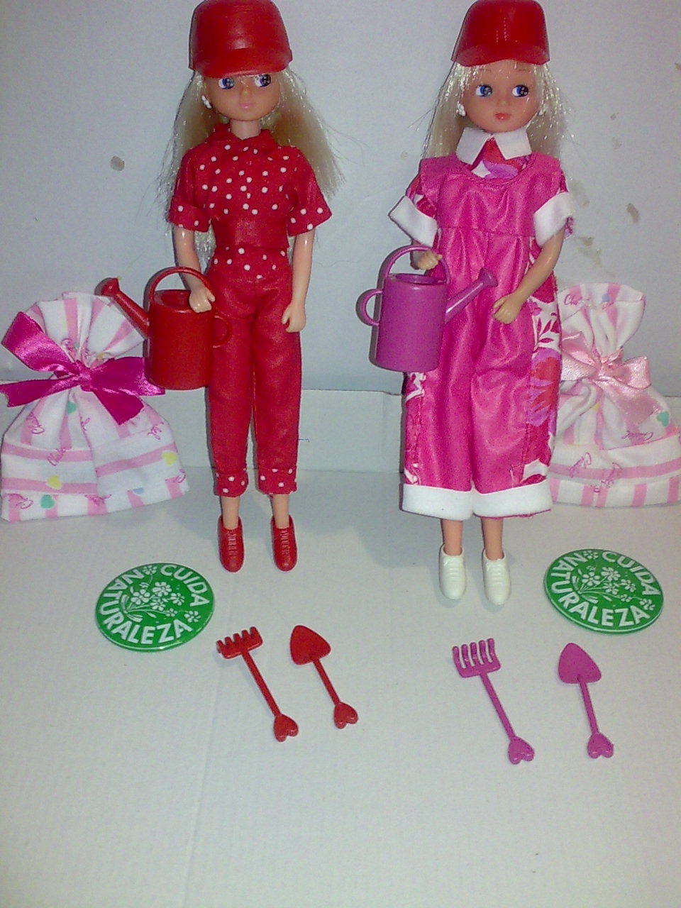 El mundo de chabel y yo: Chabel Jardinería