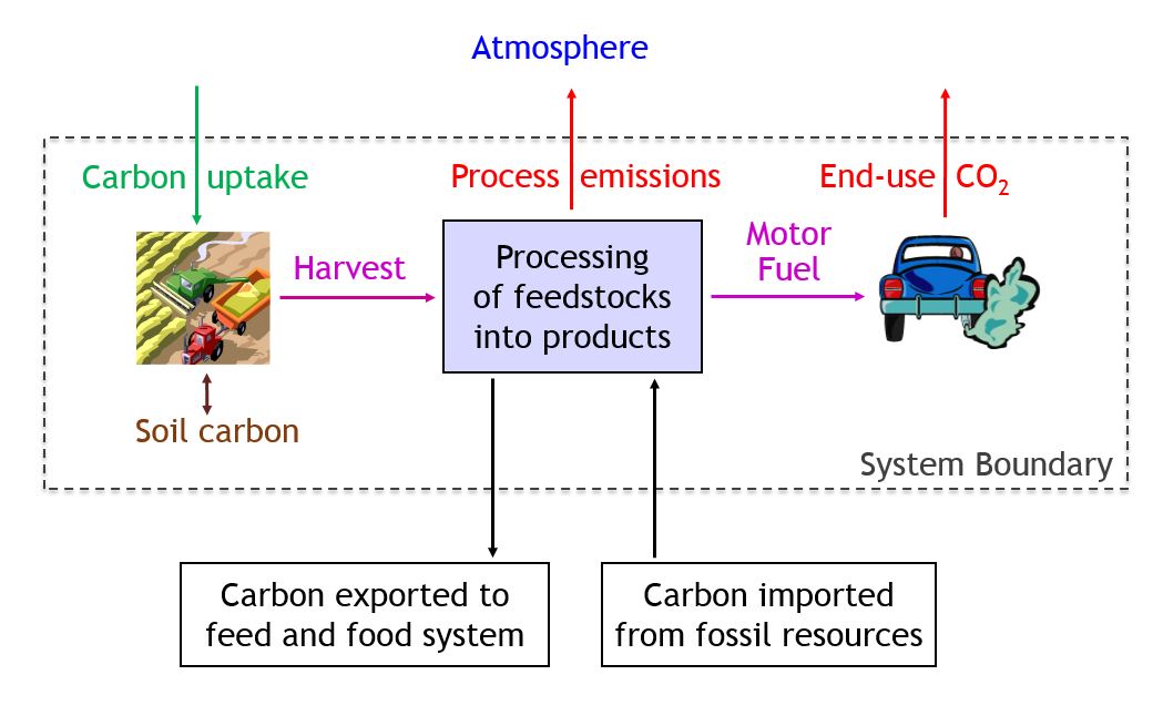 Cars and Climate: Carbon balance effects of biofuel expansion