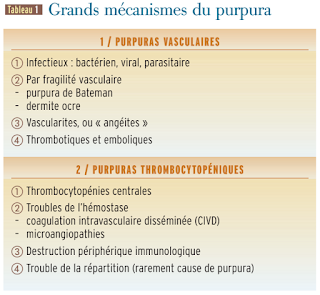 Purpuras chez l’enfant et chez l’adulte - Documents de Médecine