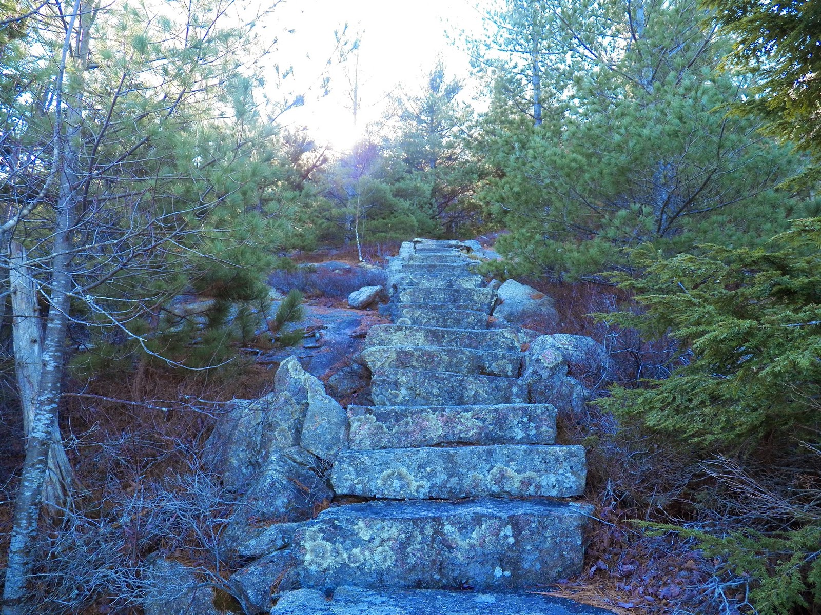 OLD MAPS OF ACADIA NATIONAL PARK: THE HOMANS TRAIL IN ACADIA NATIONAL PARK