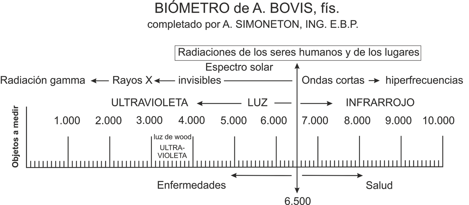 Mente, energía y máquinas: El biómetro de Bovis