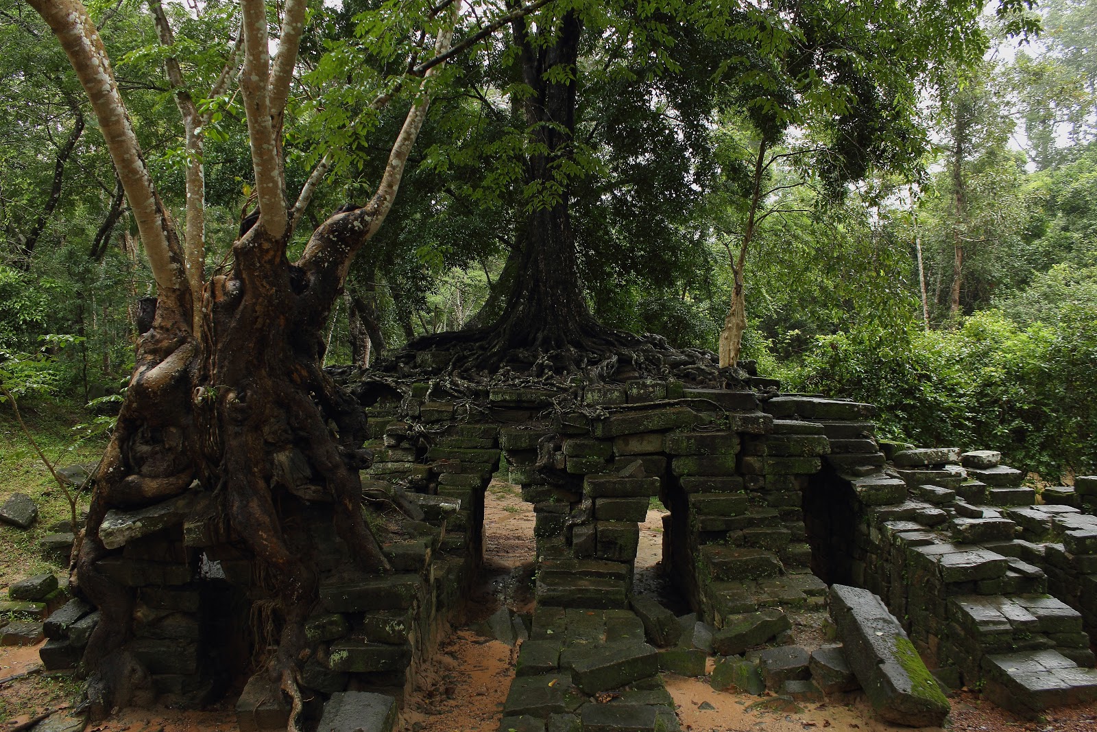 Travels, Musings and Whatnots: Temples of Angkor; Angkor Wat