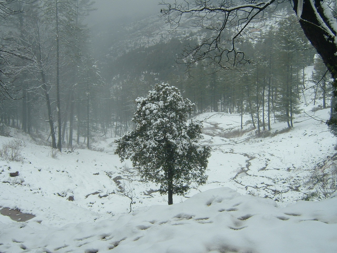 Murree the queen of hills: Snow fall in Murree