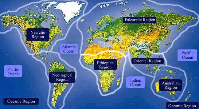 Fontes de Geografia e Geografia da Religião : ZOOGEOGRAFIA: REGIÕES E ...