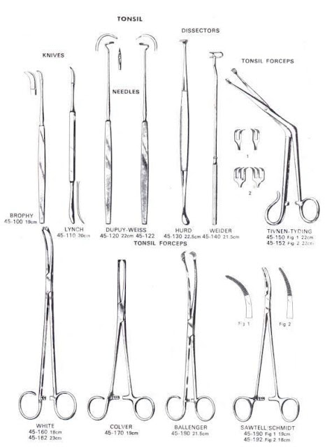 MEDICAL PHOTOS, MEDICAL PHOTOGRAPHY, CLINICAL PHOTOGRAPHY, ANATOMICAL ...