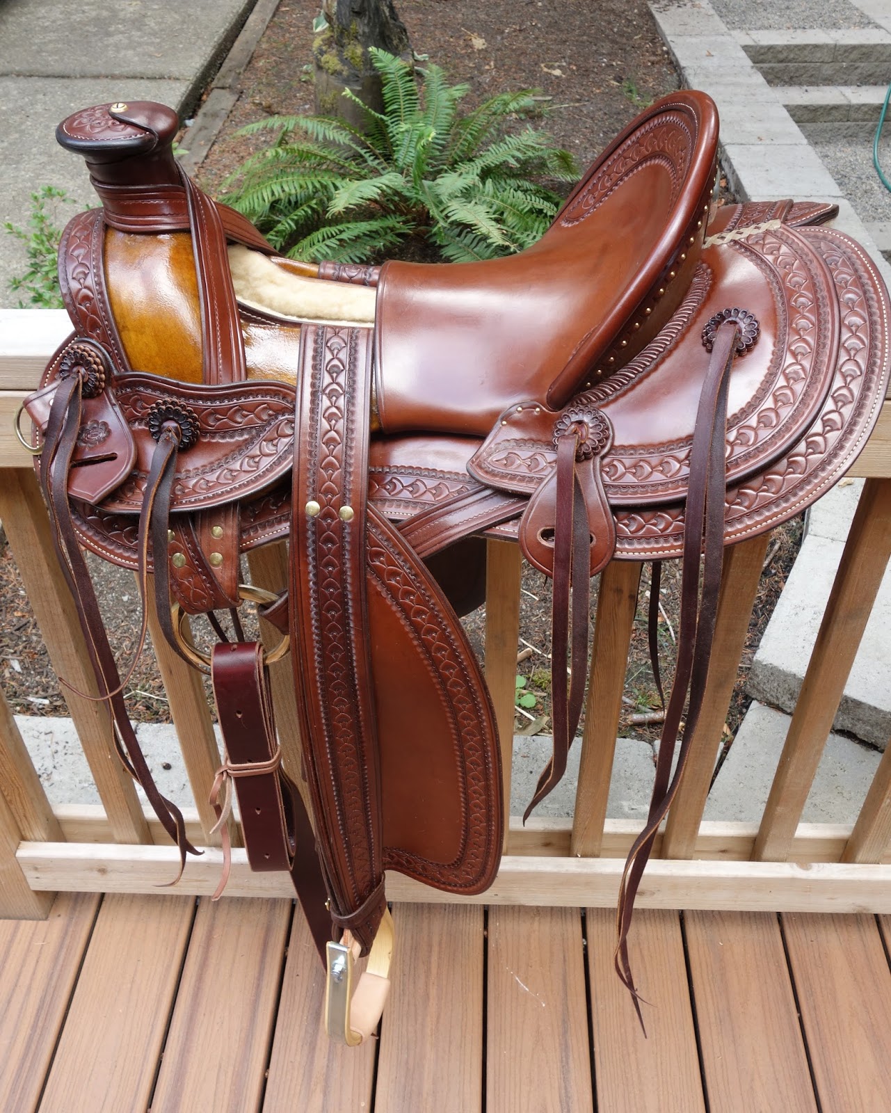 Saddles? | Colt Forum
