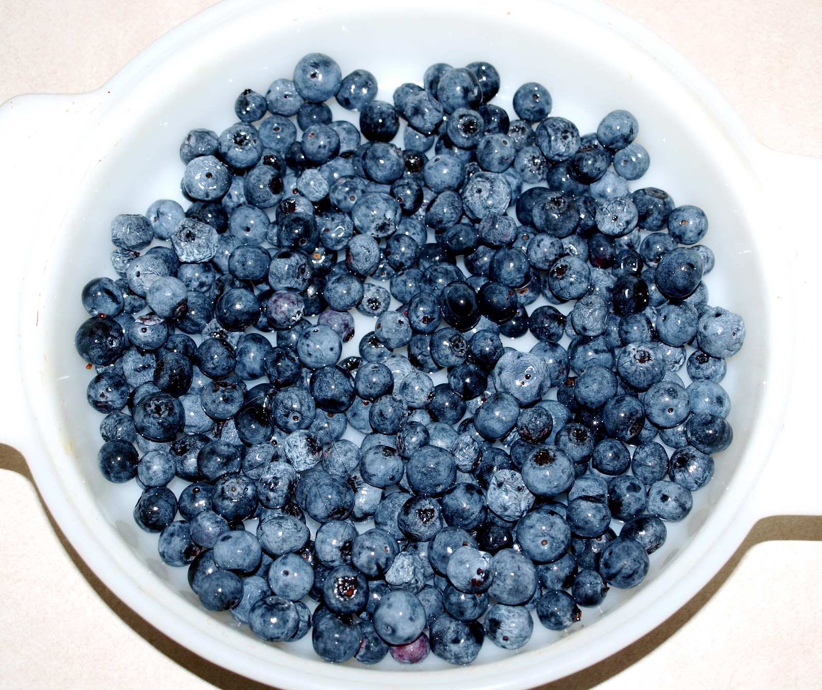 Garden for your life: Blueberry goop