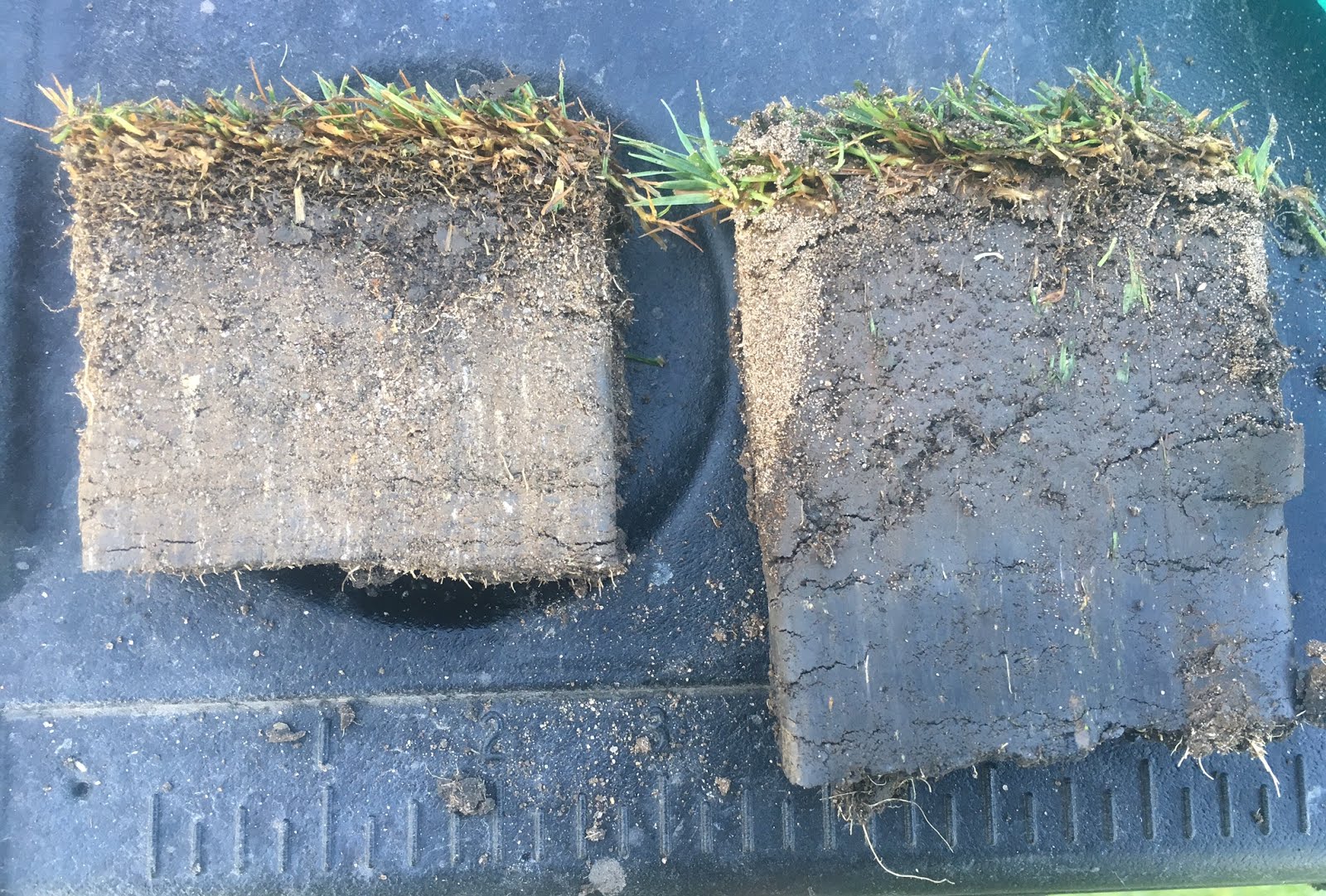 The World of Turf: Localized dry spot and water-fearing soil