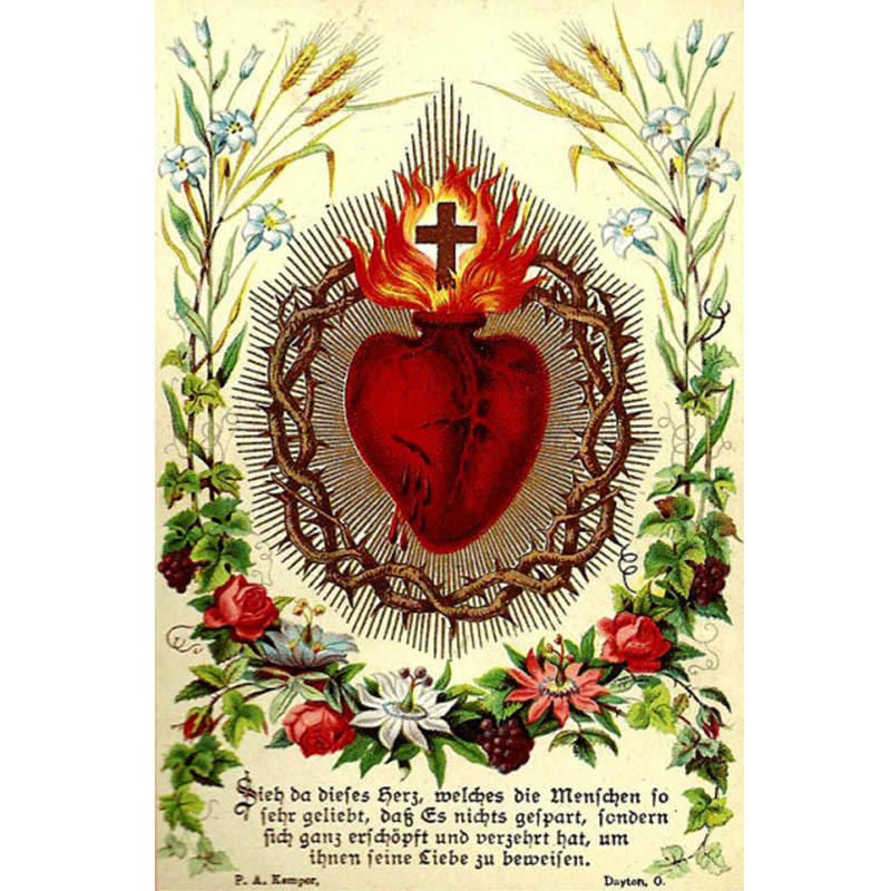 Most Sacred Heart of Jesus: Devotion to The Sacred Heart, Its Theology ...