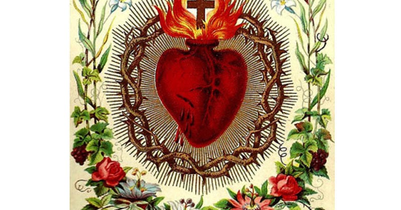 Most Sacred Heart of Jesus: Devotion to The Sacred Heart, Its Theology ...