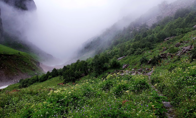 wildeagle: valley of flowers phoolonki ghati.... part 1