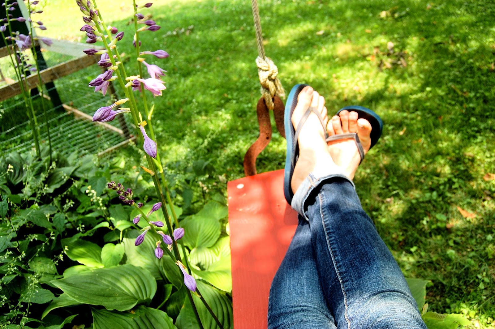 The Bumbling Gardenista: Garden Perch