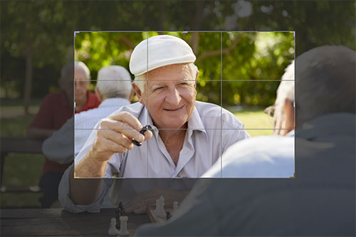 (8) CROPPING - TOP 10 PHOTOGRAPHY COMPOSITION RULES