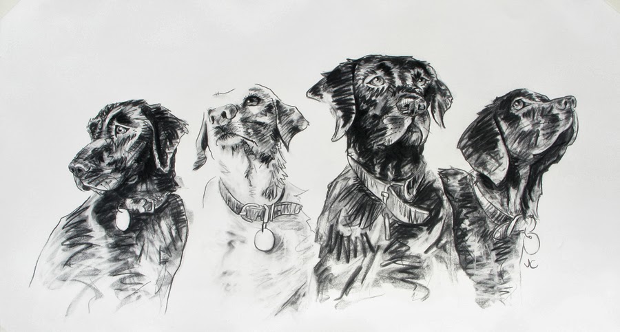 Lab doodle final - James Colmer