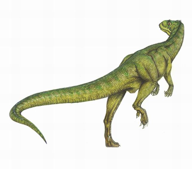 Los animales en la prehistoria: Animales prehistóricos con la letra I