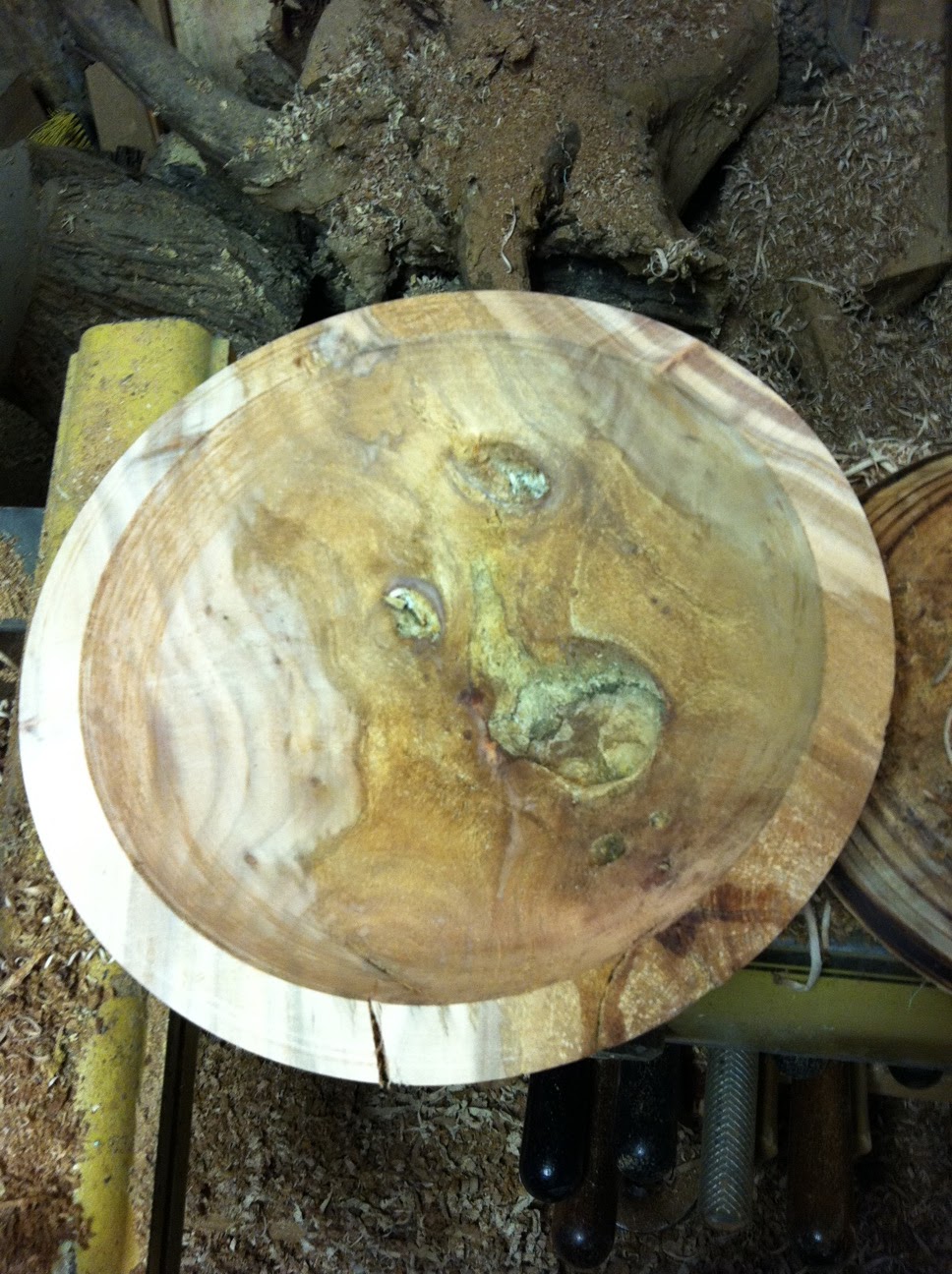 A good turn daily: Punky wood