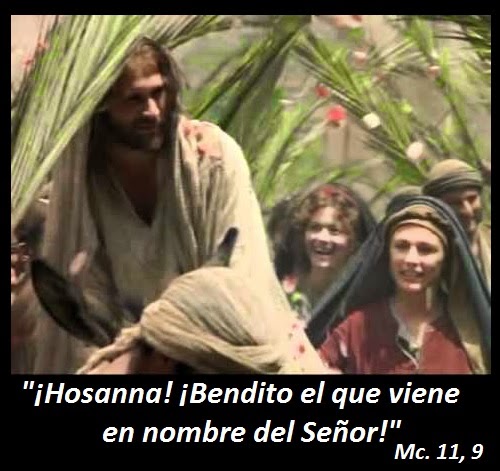 Noticias CVX México: LA FRASE DE LA SENAMANA