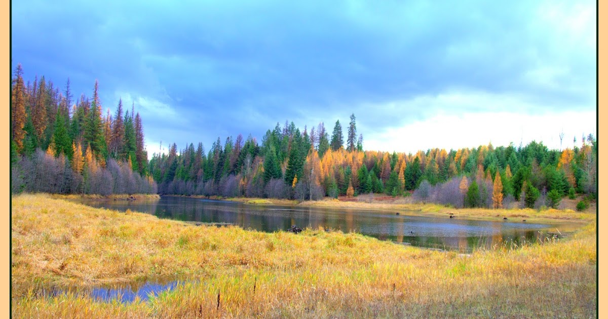 Slight Detour: A Walk at the Seed Orchard